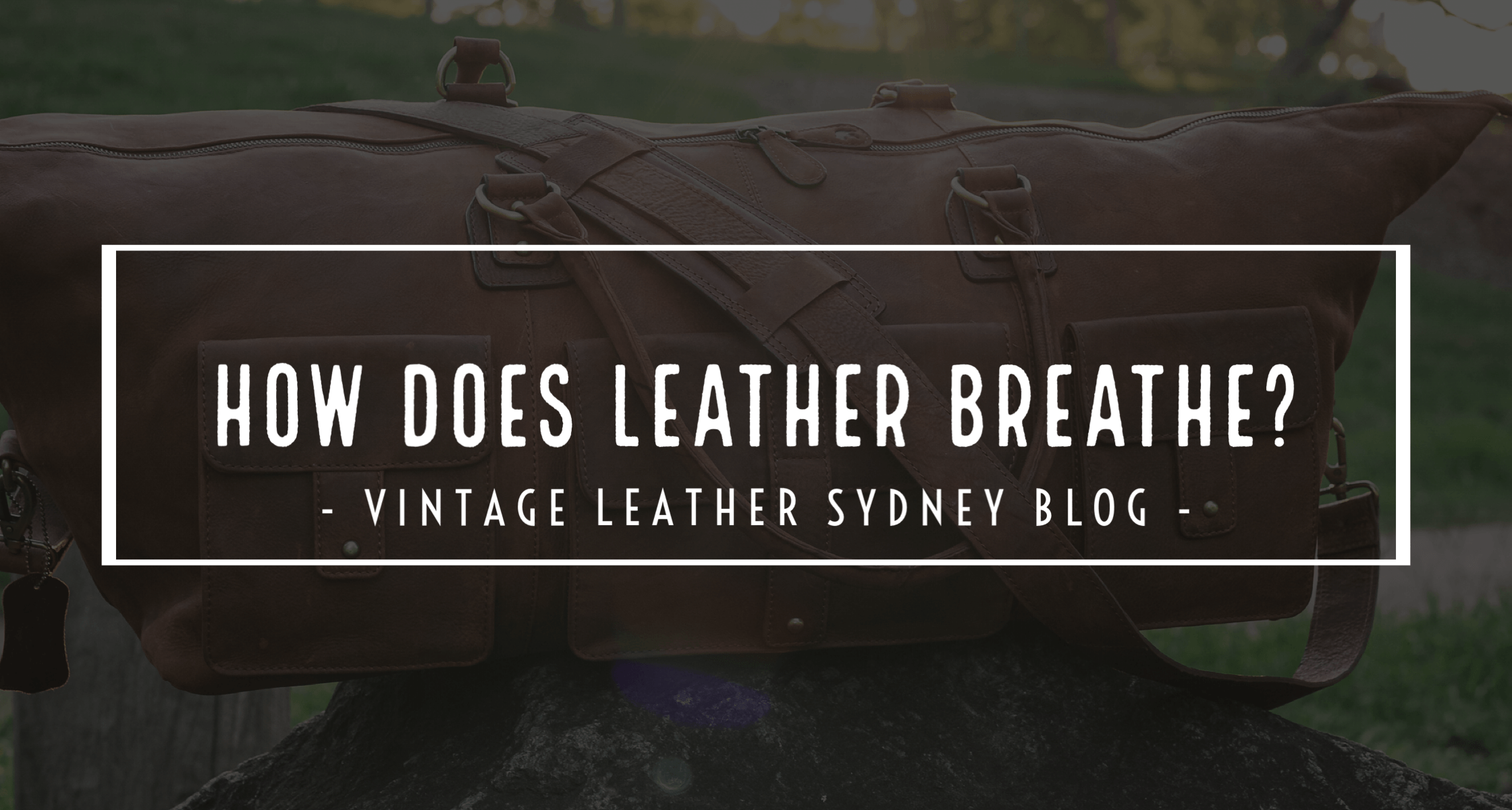 How Does Leather Breathe? – Vintage Leather Sydney