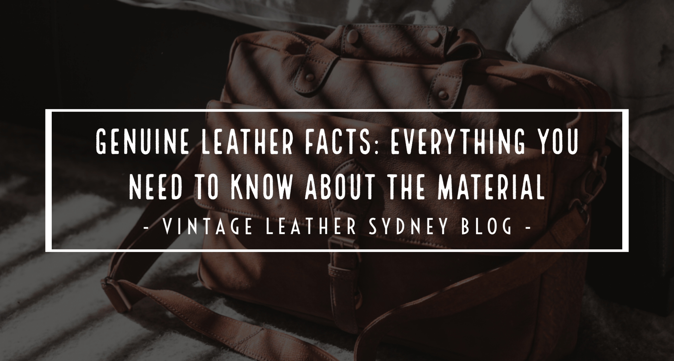 Genuine Leather Facts: Everything you need to know about the material ...